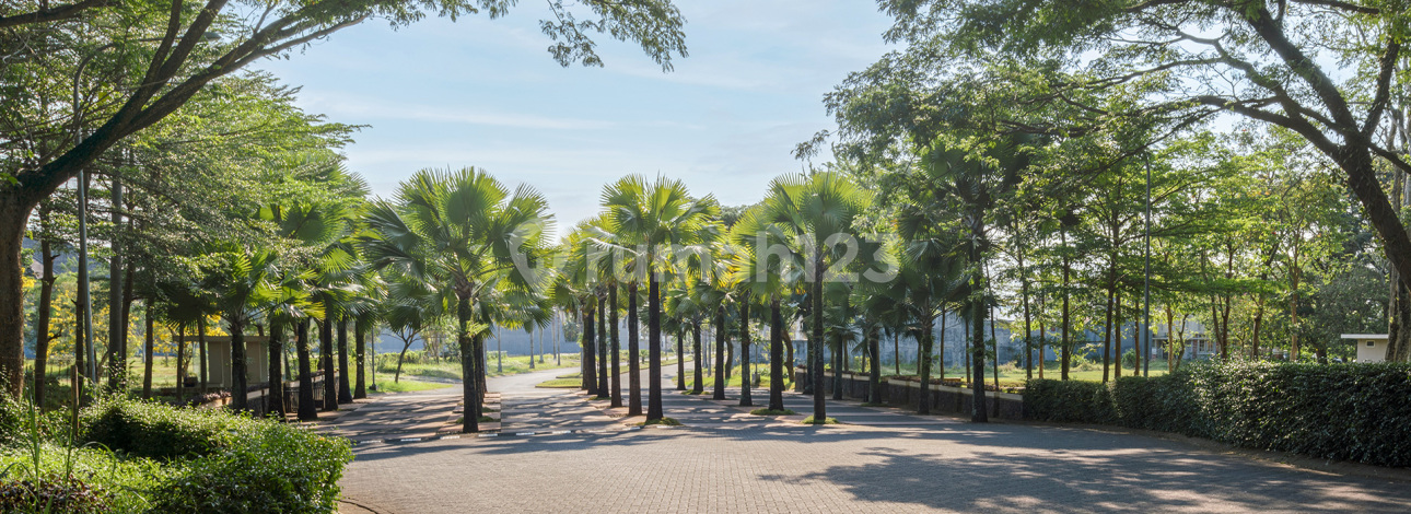 The Araya | Info Harga & Pemesanan