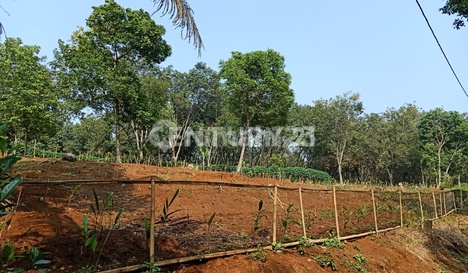 Jual Tanah di Rumpin, Bogor | Harga per Meter Terbaru