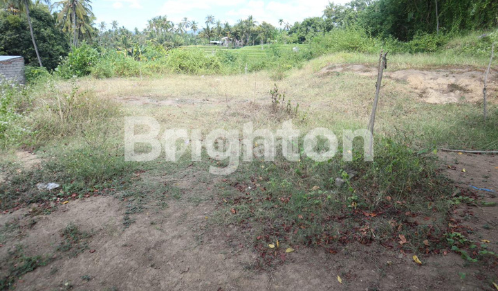 Jual Tanah di Bubunan, Buleleng | Harga per Meter Terbaru