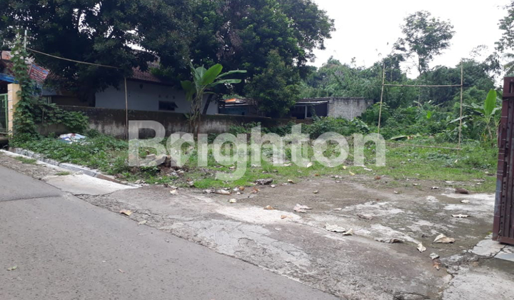 Tanah Dijual dibawah 500 juta di Sadang | Terbaru 2024